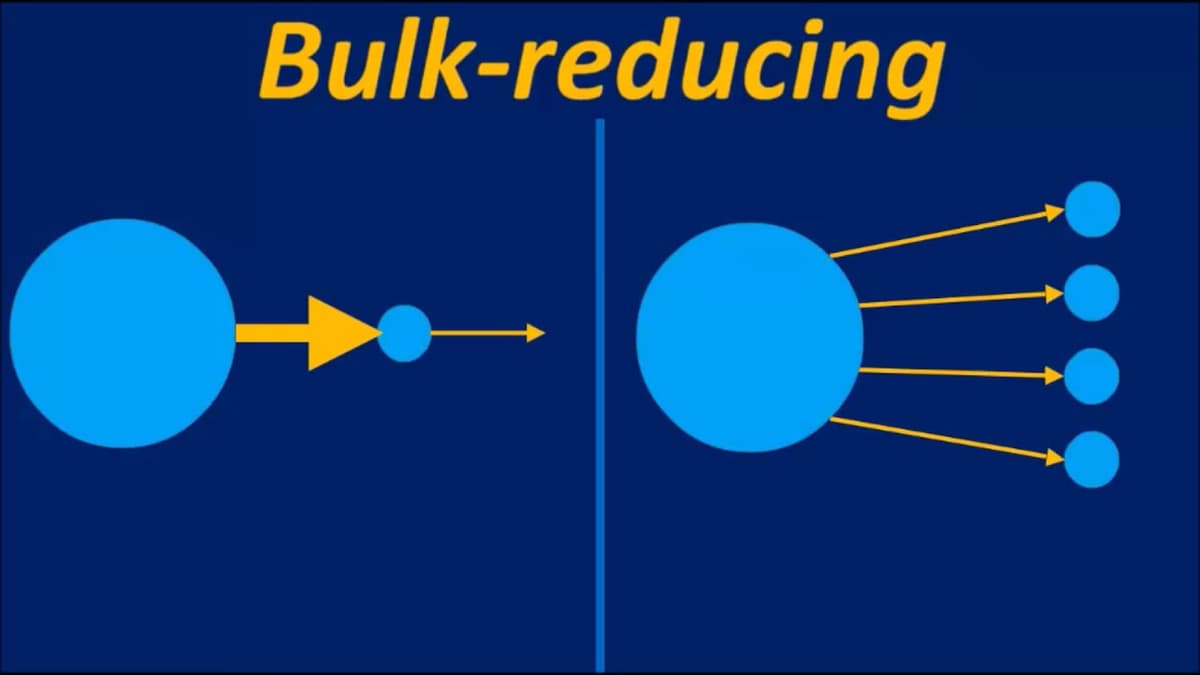 Understanding Bulk-Reducing Industries: The Economics of Location and ...