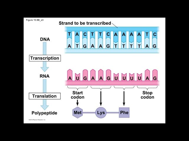 Understanding King Pin Inclination Angle (KPI) in Suspension Geometry ...