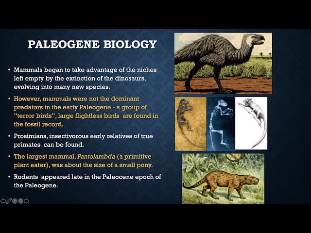 The Extraordinary Life of Leonhard Euler: A Blind Mathematician's ...