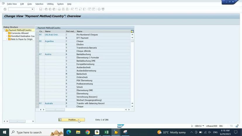 Understanding the Automatic Payment Program (APP) in SAP FICO S4HANA | Galaxy.ai