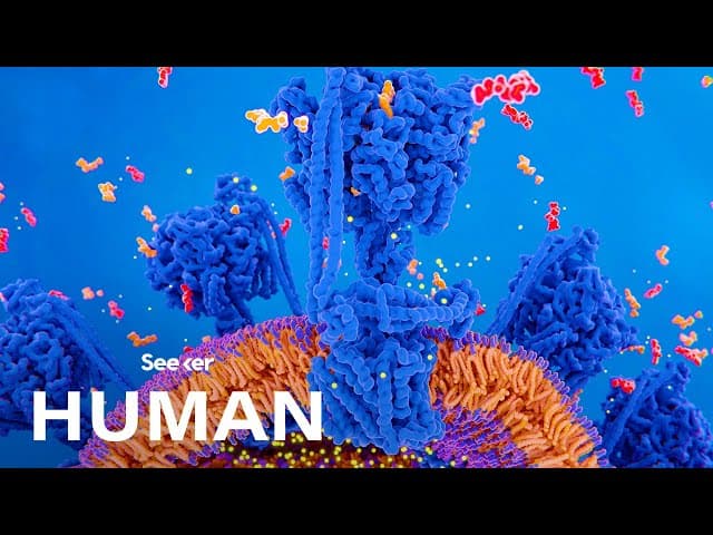 A Comprehensive Guide to Debloating Your Face: Health and Habits for a ...