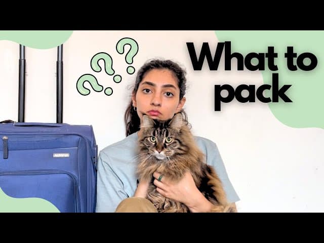 The Rise and Fall of Hamza: A Cautionary Tale of Influence and Ego | Galaxy.ai | Galaxy.ai