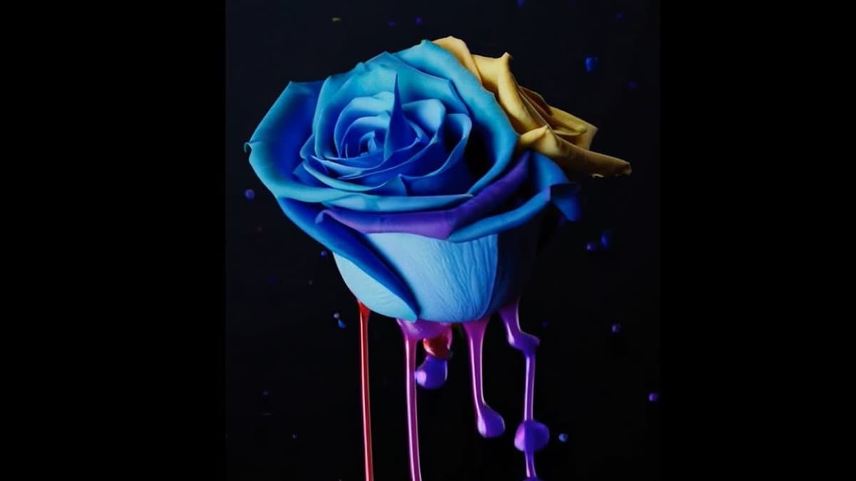 The Epic Minecraft Civilization Experiment: 1000 Players Battle Across ...