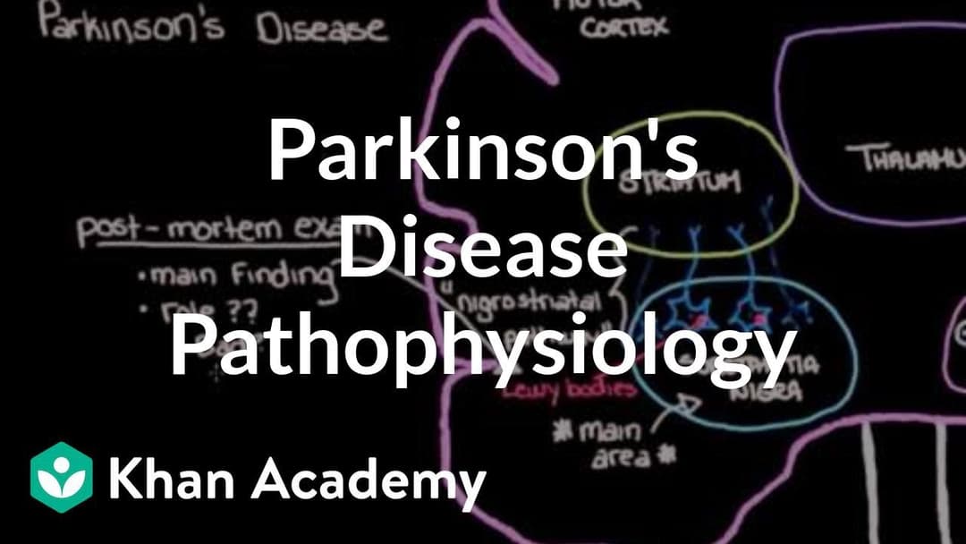 Understanding the Pathophysiology of Parkinson's Disease | Galaxy