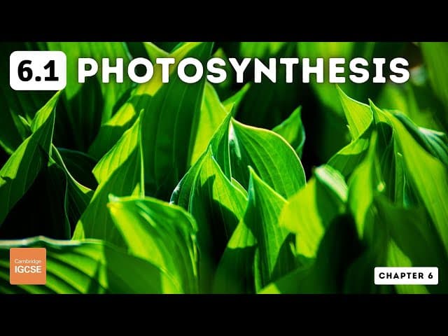 The Evolution of Print Culture and Its Impact on Society | Galaxy.ai ...