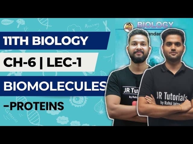 Understanding Biomolecules: An Introduction to Macro and Micro ...