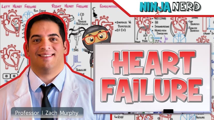 Understanding Congestive Heart Failure: Types, Causes, and Treatments ...