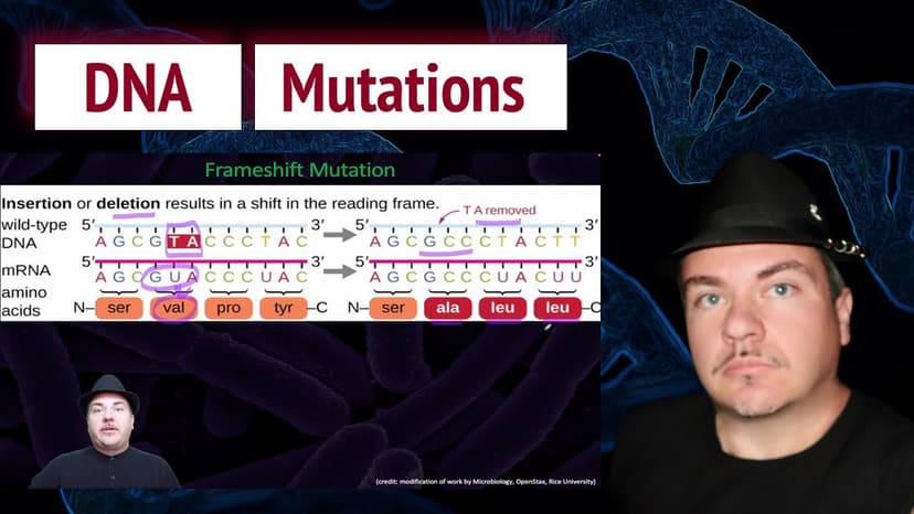 Understanding DNA Mutations: Types, Causes, and Effects | Galaxy.ai ...