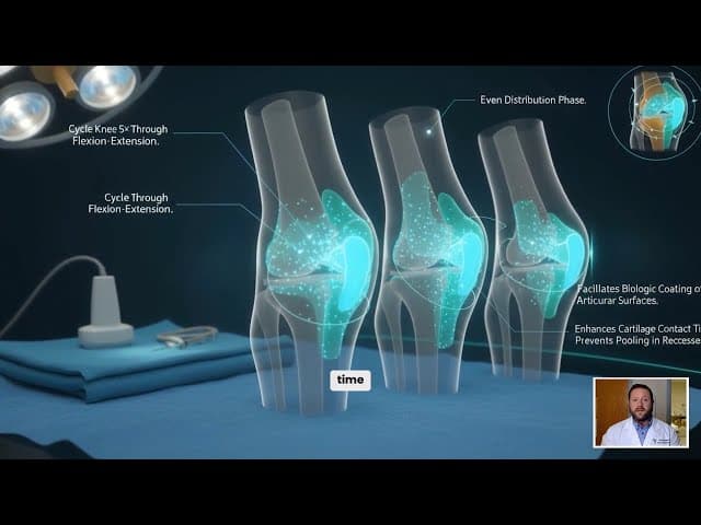 Understanding the Maxilla: The Key to Facial Attractiveness and Depth ...