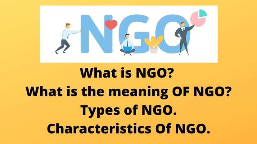 Understanding NGOs: Definition, Types, and Characteristics | Galaxy.ai ...