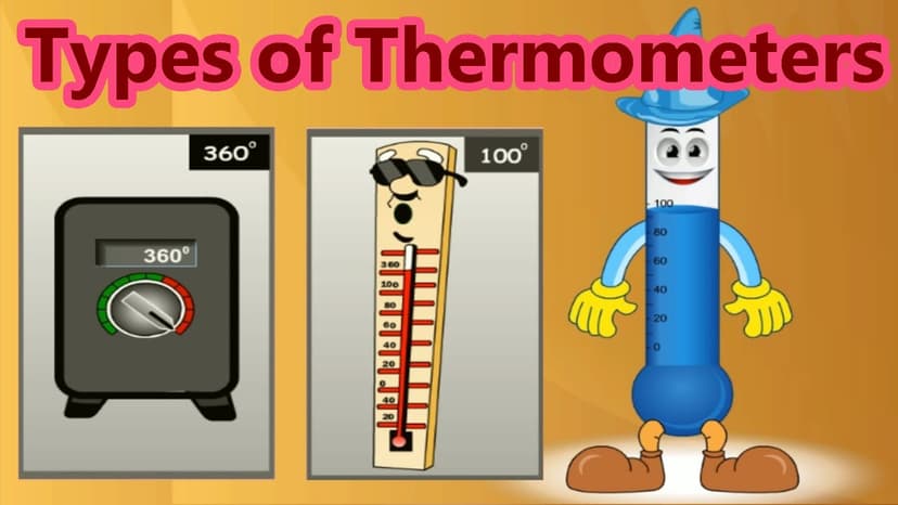 Understanding Thermometers: Types, Uses, and Importance in Daily Life ...