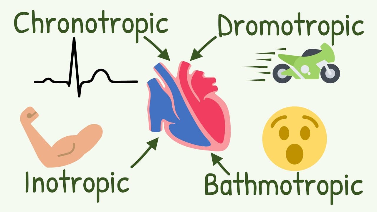 Understanding Cardiac Tropism: Chronotropic, Inotropic, Dromotropic ...