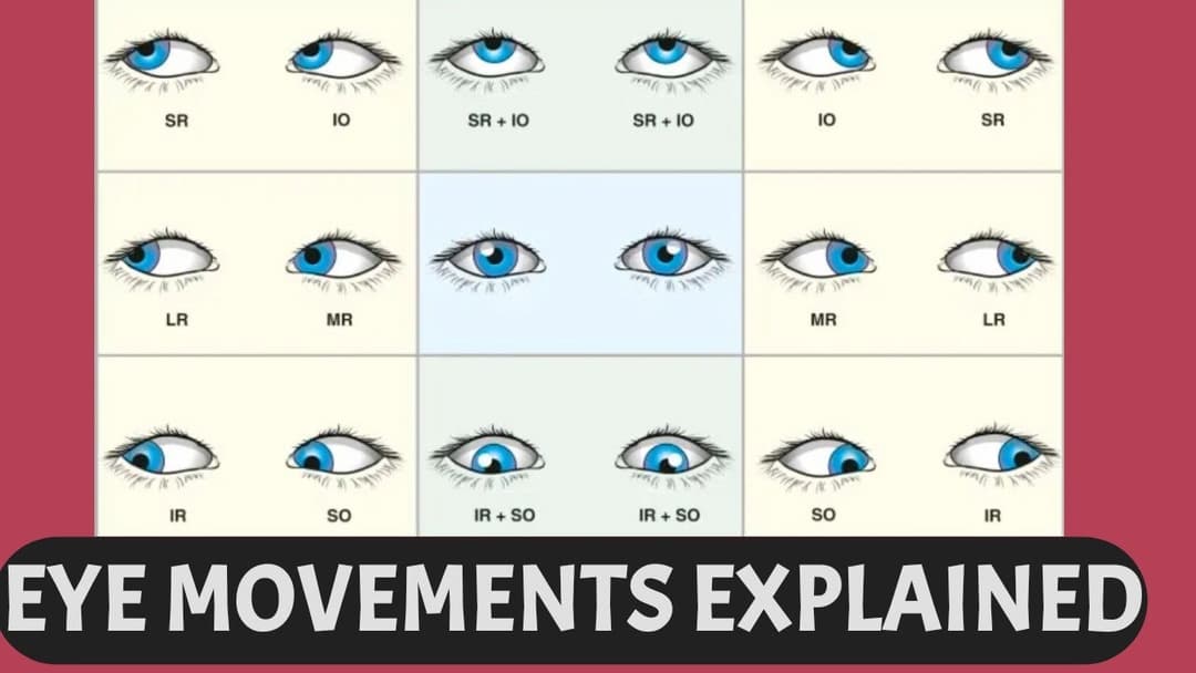 Understanding Eye Movements: Ductions, Versions, and Vergence Explained | Galaxy.ai | Galaxy.ai