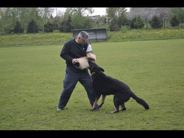 Liam Tuffs Exposes His Father's Dark Past and the Fight Against ...