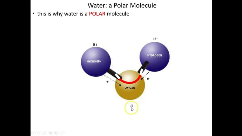 Understanding Water: The Importance of Polarity in Life | Galaxy.ai