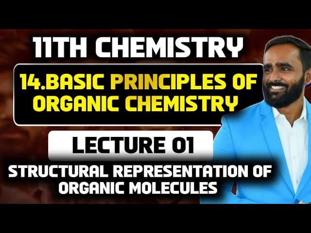 Understanding Functions and Procedures in Python: A Comprehensive Guide | Galaxy.ai | Galaxy.ai