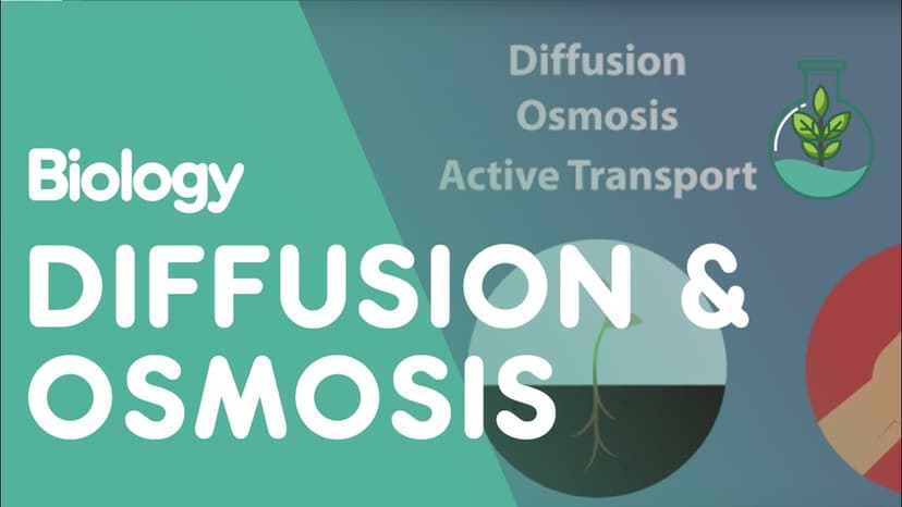 Understanding Cell Transport: Diffusion and Osmosis Explained | Galaxy.ai | Galaxy.ai