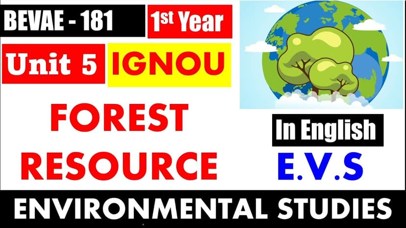 Understanding Forest Resources: Importance, Deforestation, and Conservation | Galaxy.ai | Galaxy.ai