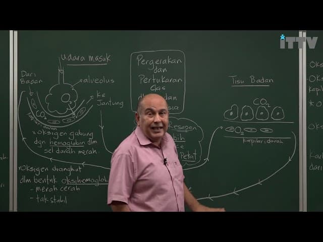 Mastering Properties in Roblox: A Beginner's Scripting Guide | Galaxy.ai