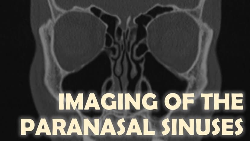 Understanding the Anatomy of the Paranasal Sinuses | Galaxy