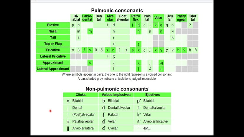 Understanding Vowels: A Deep Dive into the International Phonetic Alphabet | Galaxy.ai | Galaxy.ai
