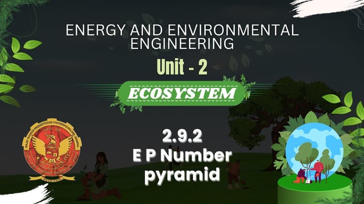 Understanding the Number Pyramid in Ecological Systems | Galaxy.ai ...