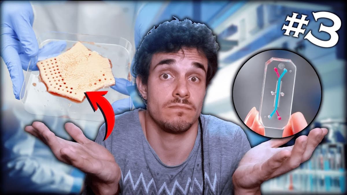 Understanding the Melanin Biosynthesis Pathway: Eumelanin and ...