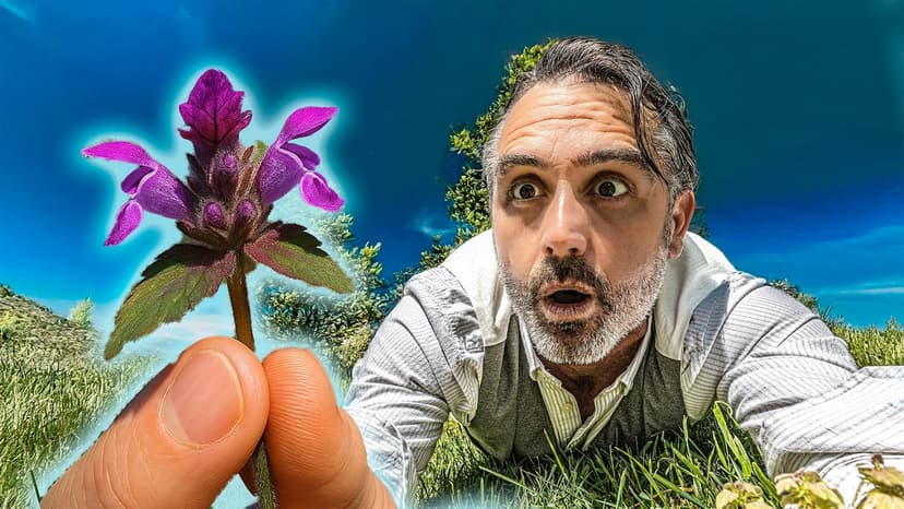 Understanding Cardiac Tropism: Chronotropic, Inotropic, Dromotropic ...