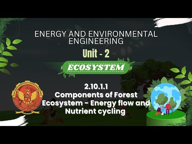 Understanding the Components of Forest Ecosystems: Energy Flow and ...