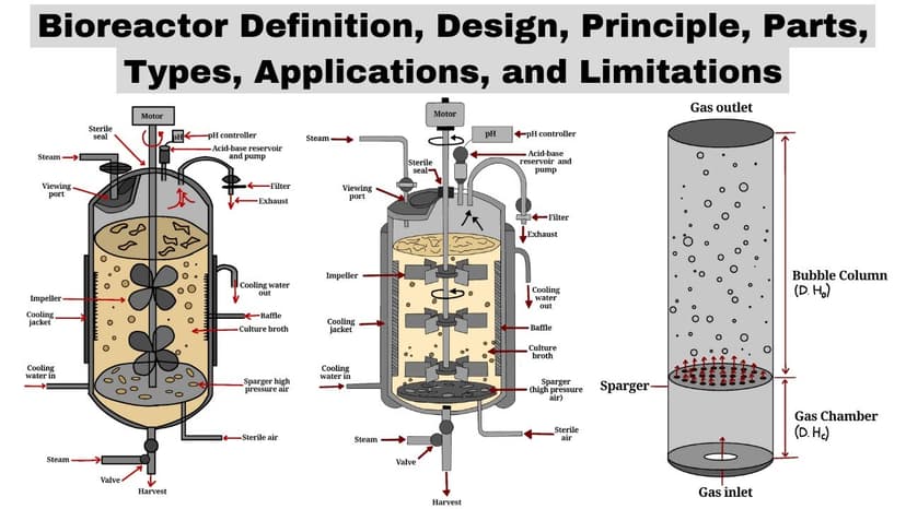 Understanding Bioreactors: Design, Principles, Types, Applications, and ...