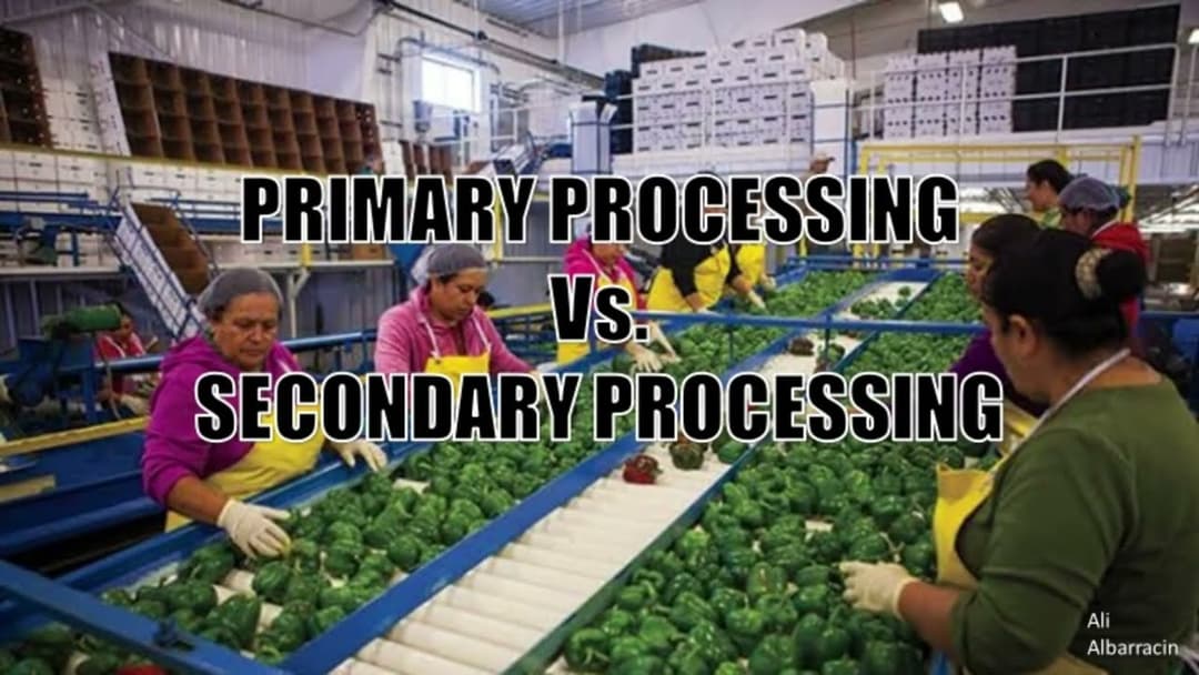 Understanding Primary and Secondary Processing: The Journey from Raw ...