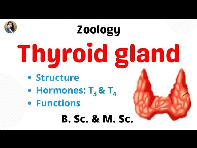 Cambridge Debate Coach Tilly Middlehurst on Outmaneuvering Charlie Kirk ...