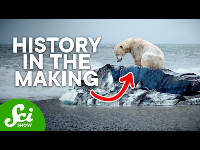 The Extraordinary Life of Leonhard Euler: A Blind Mathematician's ...