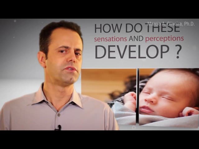 Understanding King Pin Inclination Angle (KPI) in Suspension Geometry ...