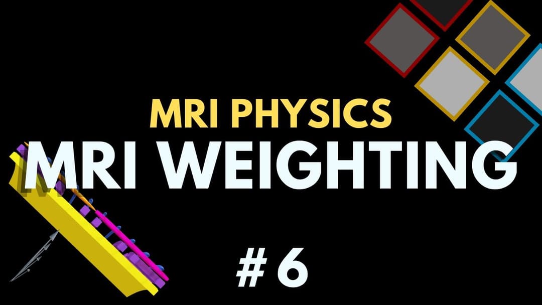 Understanding MRI Weighting: T1, T2, and Proton Density | Galaxy.ai