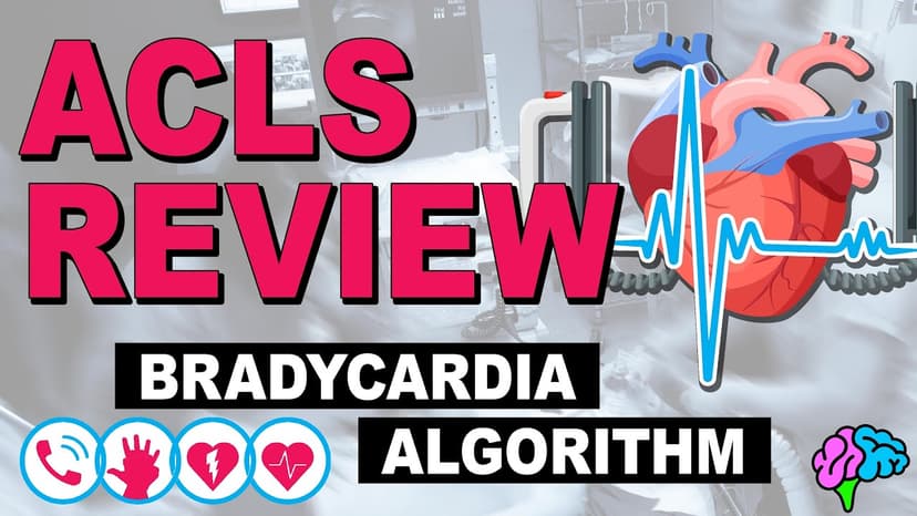 Understanding Bradycardia: An ACLS Review | Galaxy.ai | Galaxy.ai
