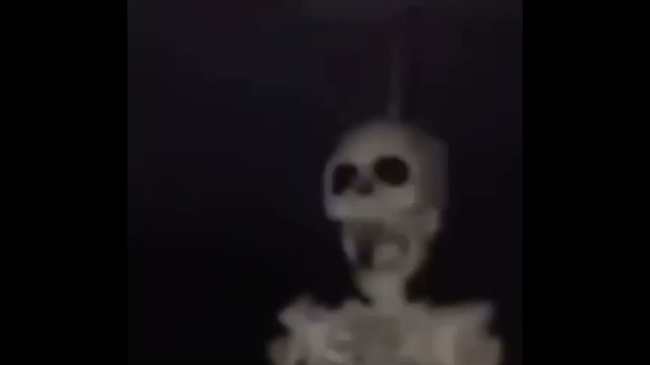 The Skeleton Spinning on Fan Meme: A Viral Sensation | Galaxy.ai