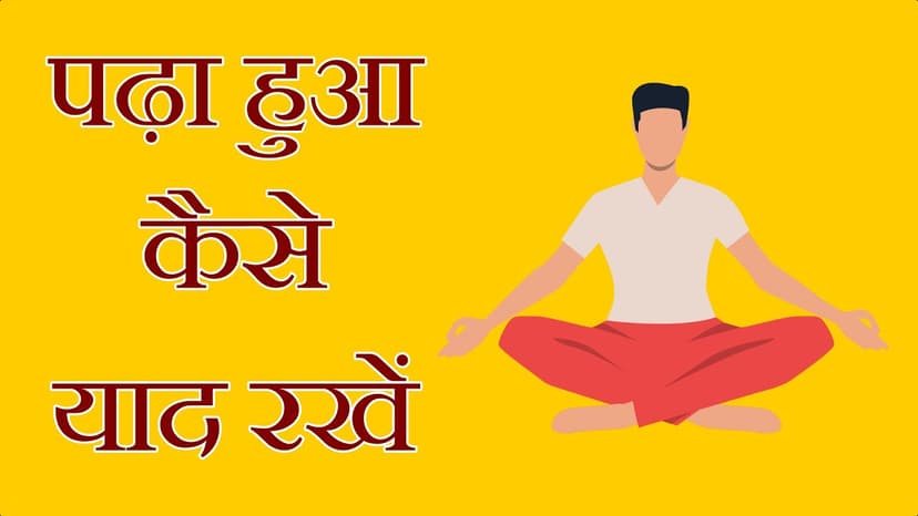 The Rise and Fall of Hamza: A Cautionary Tale of Influence and Ego | Galaxy.ai