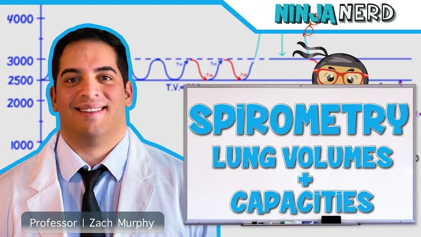 Understanding Spirometry: Lung Volumes and Capacities Explained ...