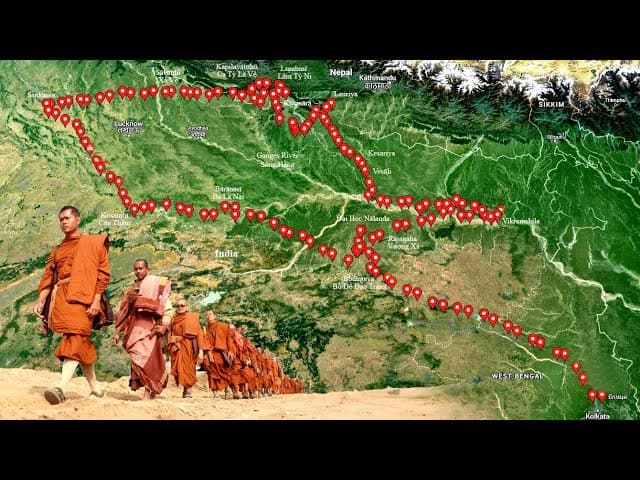 Understanding Functions and Procedures in Python: A Comprehensive Guide | Galaxy.ai | Galaxy.ai