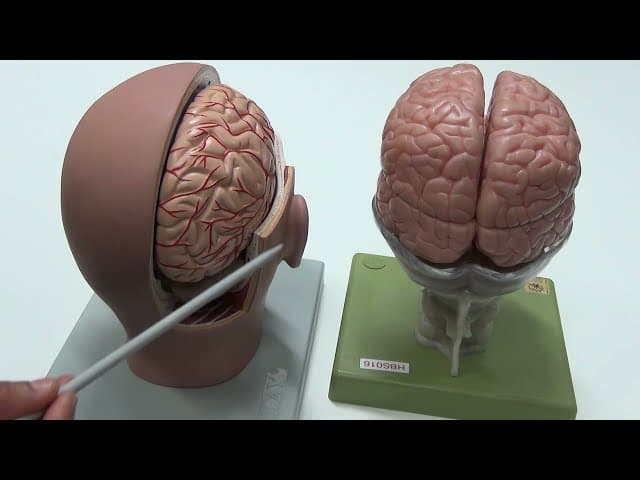 A Comprehensive Guide to Reading Data in Python for Data Science | Galaxy.ai | Galaxy.ai