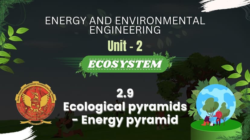 Understanding Ecological Pyramids: The Energy Pyramid Explained | Galaxy.ai