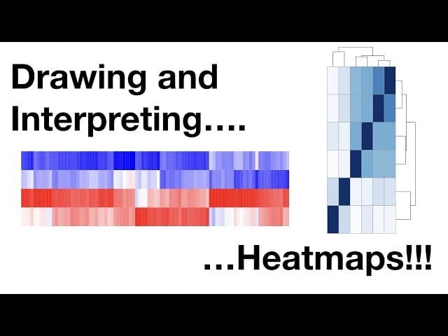 Understanding Heatmaps: Scaling and Clustering Explained | Galaxy.ai