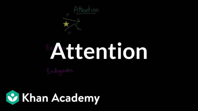 Understanding Divided Attention, Selective Attention, Inattentional ...