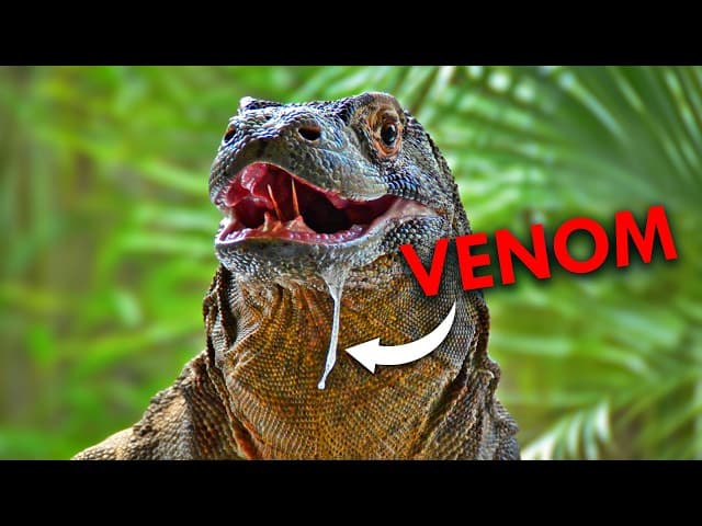 Understanding PHI and PSI Angles: A Guide to Ramachandran Plots and ...