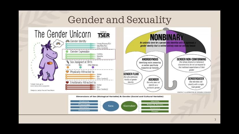 Understanding Intersectionality: Gender and Sexuality Explained | Galaxy.ai