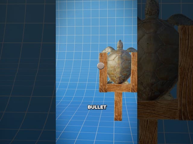 Understanding PHI and PSI Angles: A Guide to Ramachandran Plots and ...