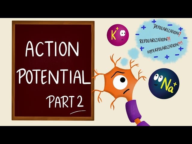 Understanding the Lagging Strand in DNA Replication | Galaxy.ai | Galaxy.ai